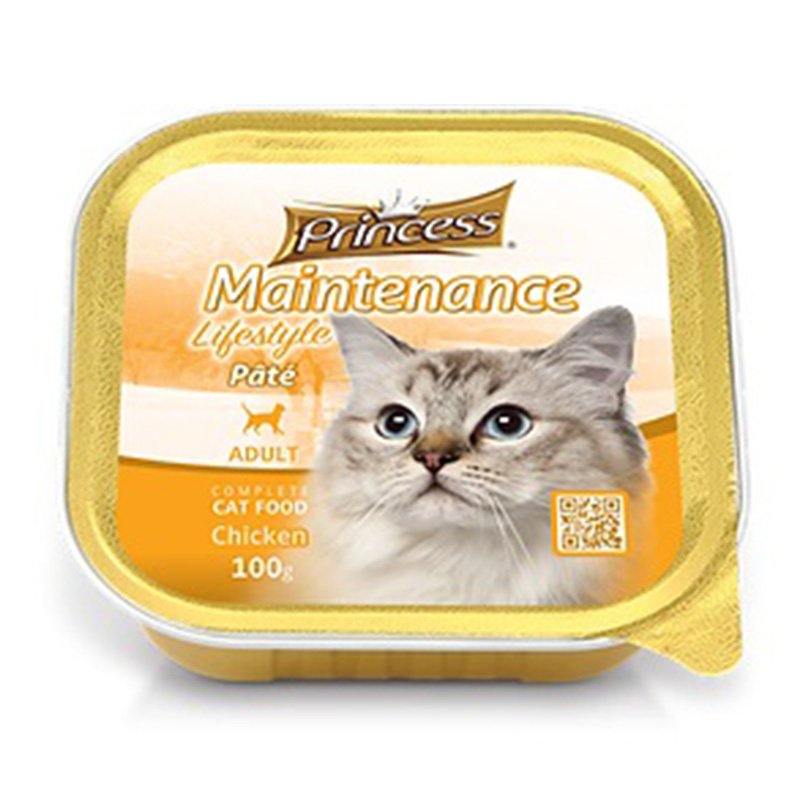 Buy Princess Adult Cat Pate Food Chicken Flavour 100 G in Dubai, Abu ...