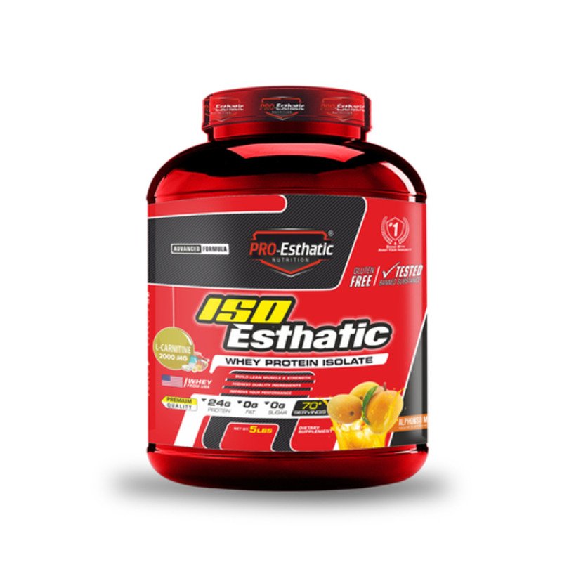 Buy Pro Esthatic Nutrition Panta-6 5lbs 65 Serving - Alphonso Mango in Dubai, Abu Dhabi, Sharjah ...