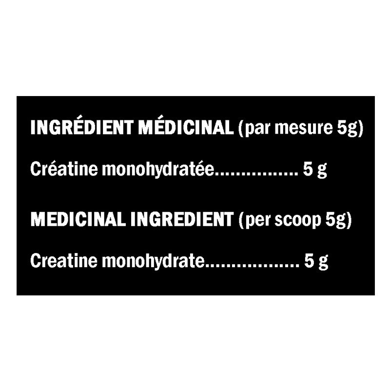 Buy XPN Creatine X 500Gram in Dubai, Abu Dhabi, Sharjah, UAE ...